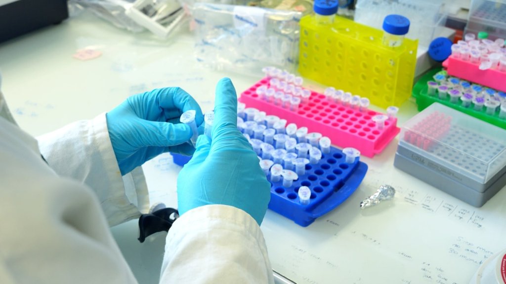 Beginning of a Phase 1 clinical trial: what to expect?